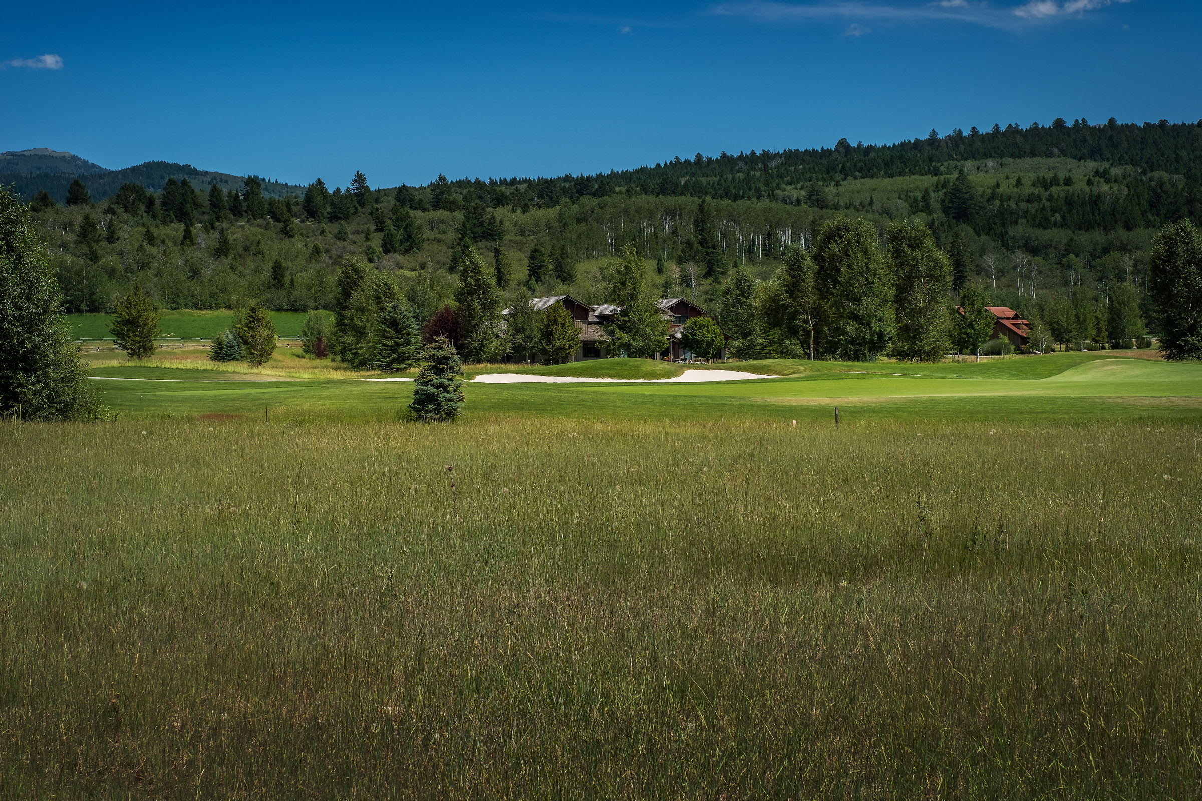 Teton Springs | Teton Valley Realty